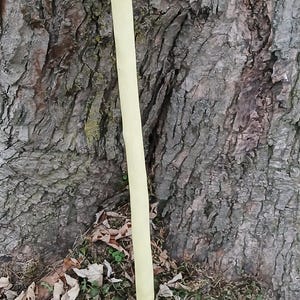 Handcrafted 68-inch Ash Walking Stick With Natural Bark Detailing and ...