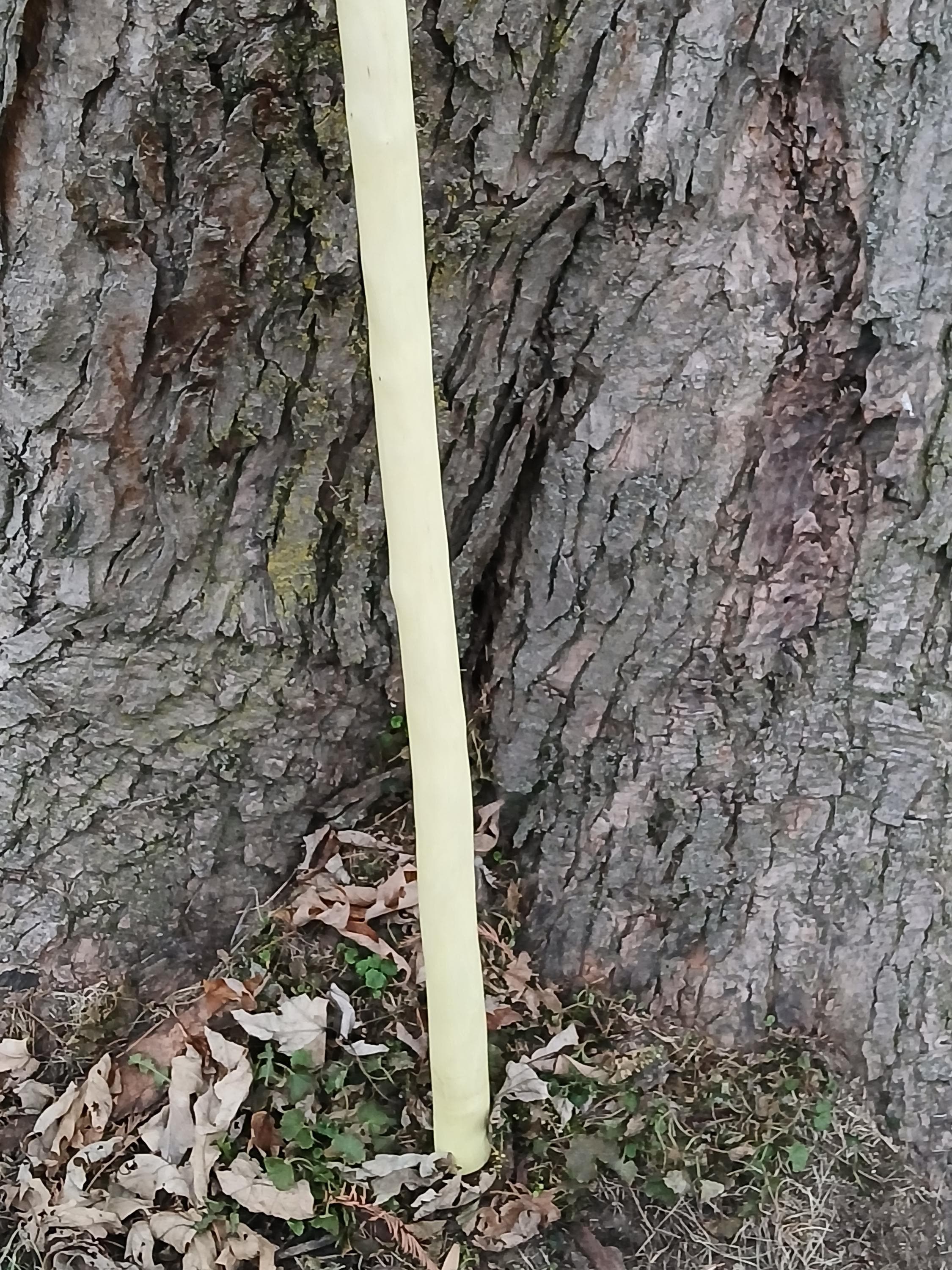 Handcrafted 68-inch Ash Walking Stick With Natural Bark Detailing and ...
