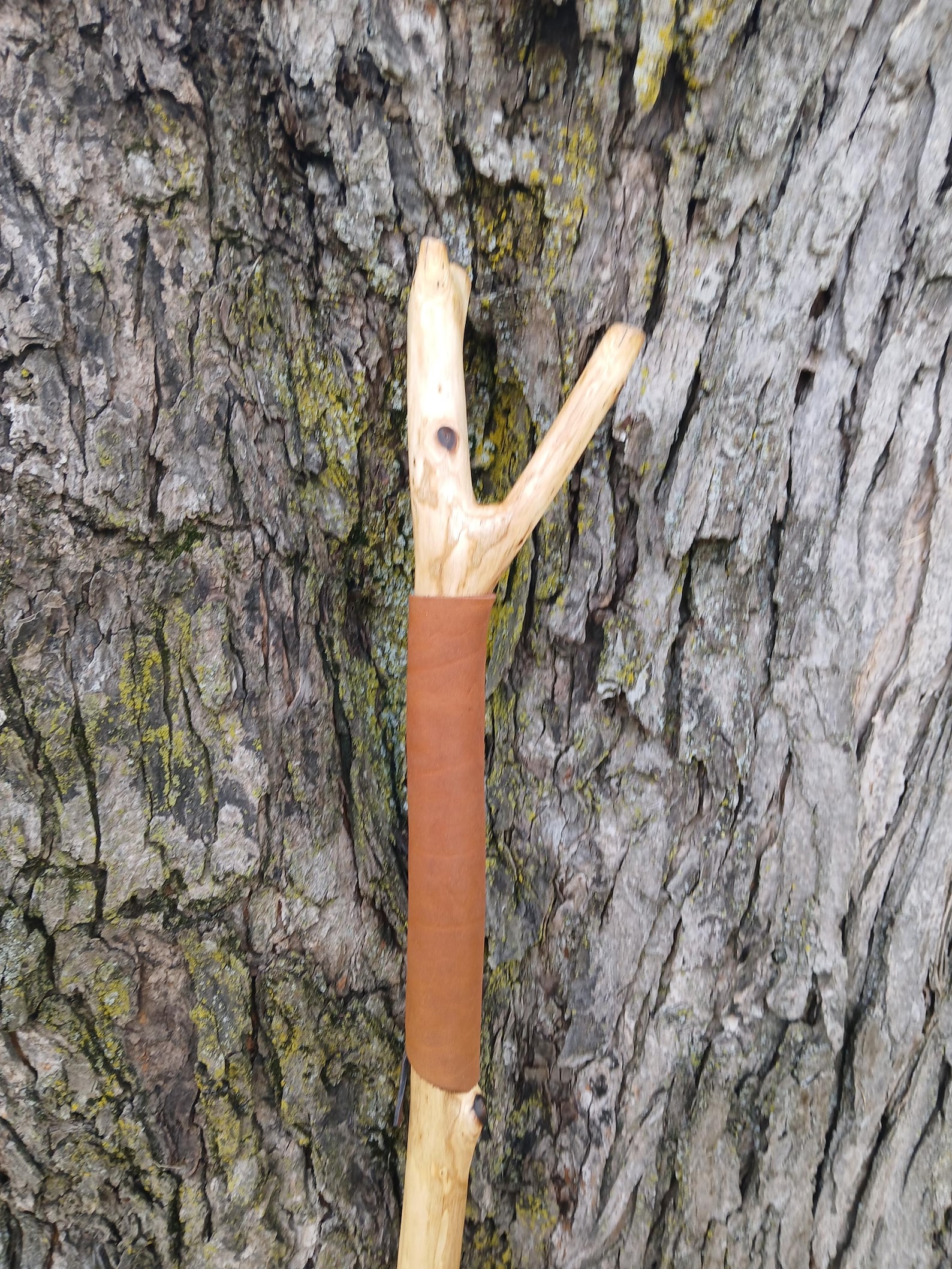 Handcrafted 57-inch Oak Walking Stick With Forked Design and Leather ...