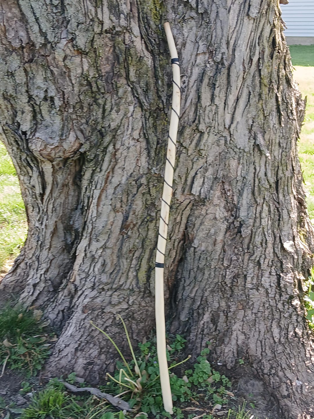 Handcrafted 46-inch Oak Walking Stick With Black Leather Cord Accent ...