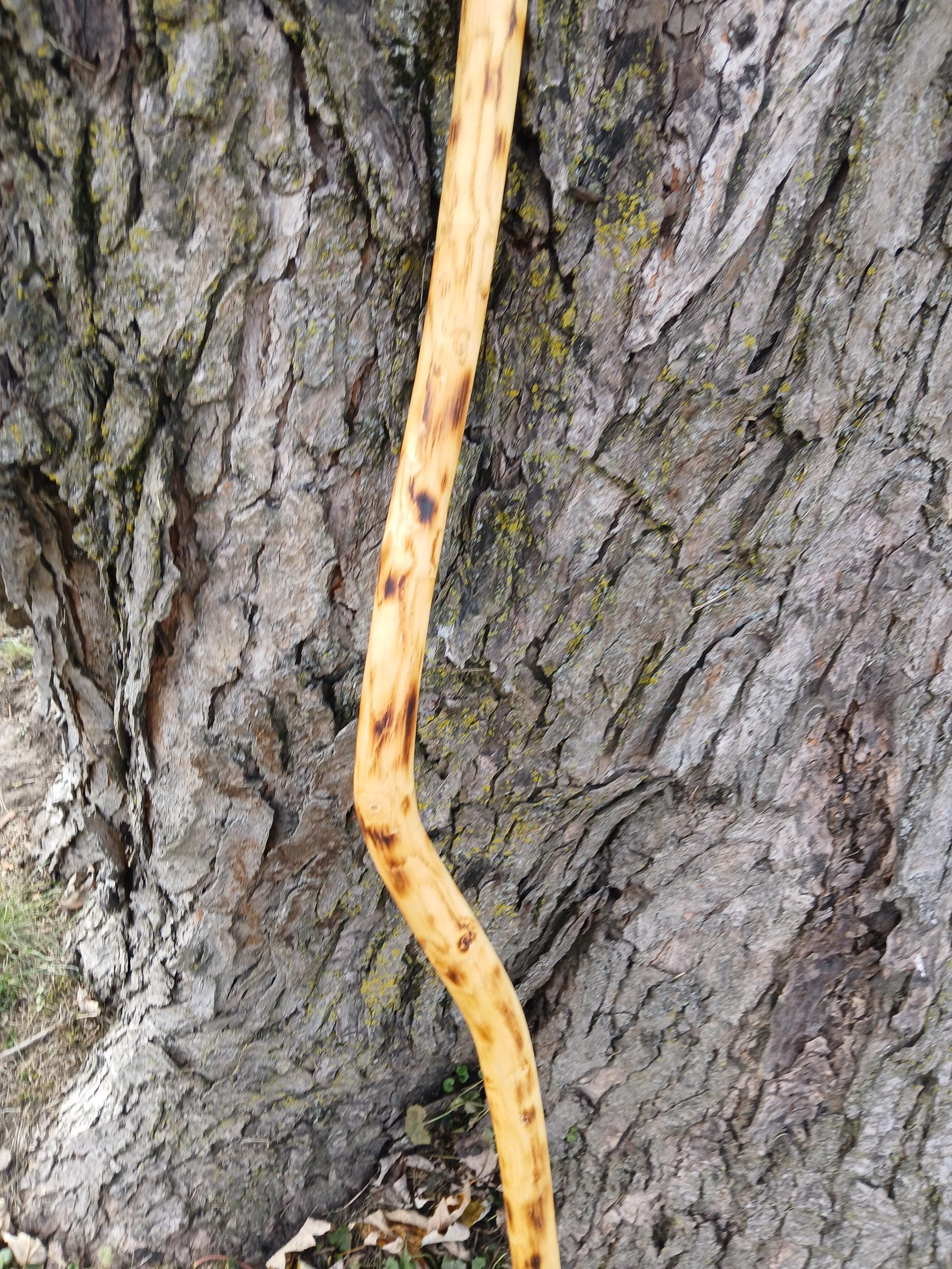 Handcrafted 56-inch Ash Wood Walking Staff With Burnt Finish, Leather ...