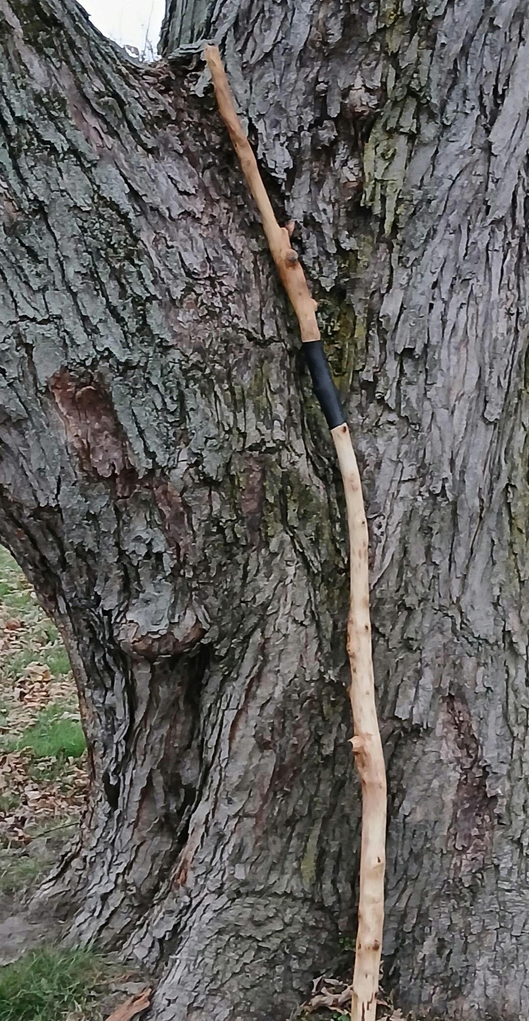72-inch Handcrafted Maple Walking Stick With Leather Grip Elegant and ...