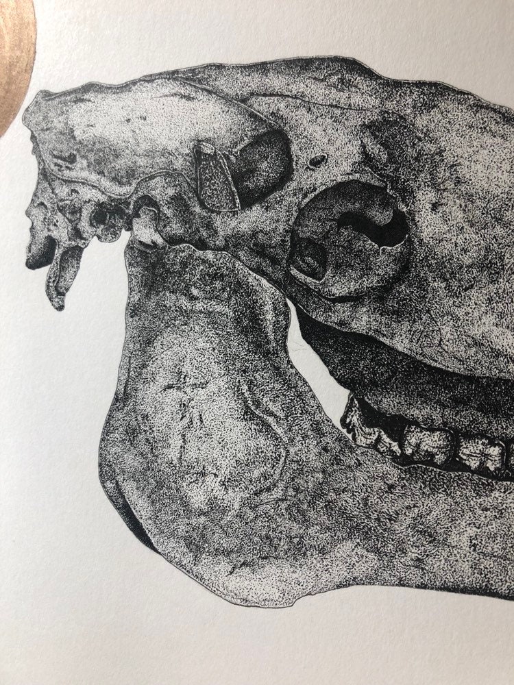 The Cycle of Death-skull Moon Phases - Etsy