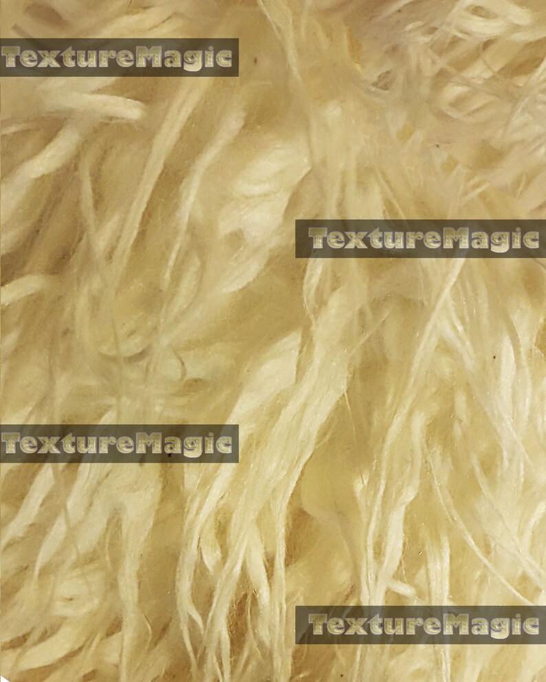 28 Fur Digital Texture Background Download - Etsy