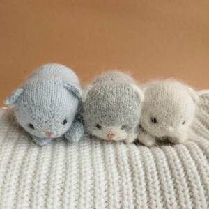 Small Knitting Kitten PDF PATTERN, Knitting Cat PDF, Amigurumi English ...