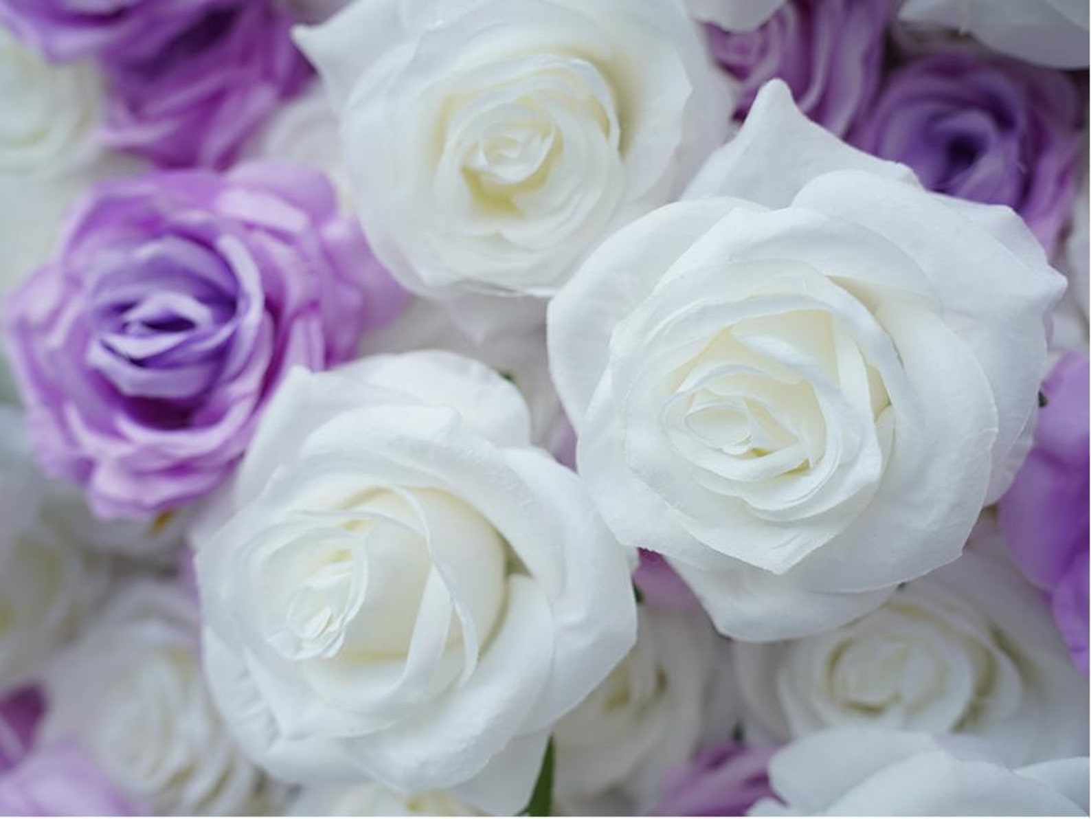 5D Fabric Cloth Curtain Flower Wall Custom Gradient Lavender - Etsy