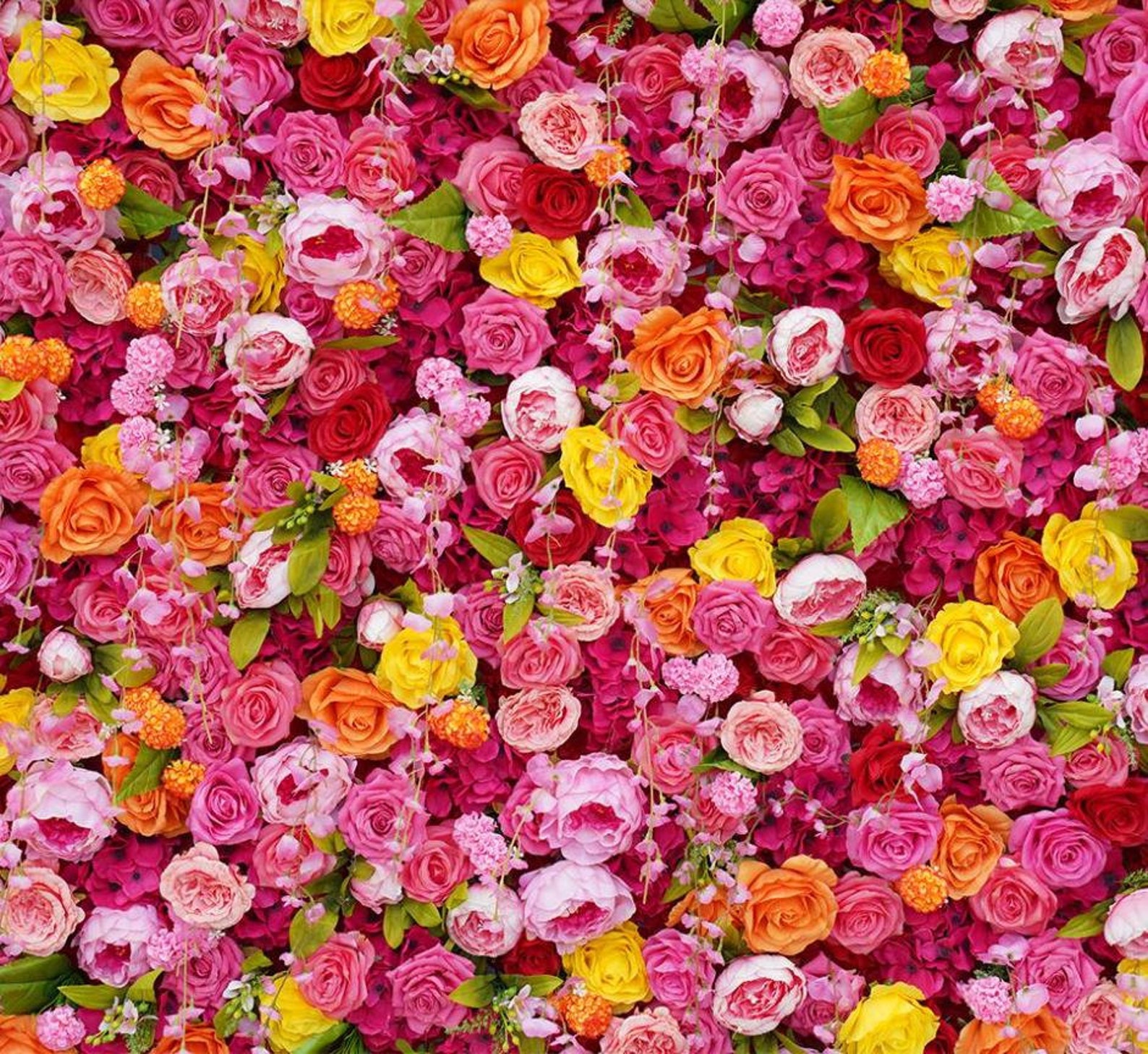 Custom 5D Roll up Cloth Curtain Flower Wall Fuchsia Pink Orange Red ...