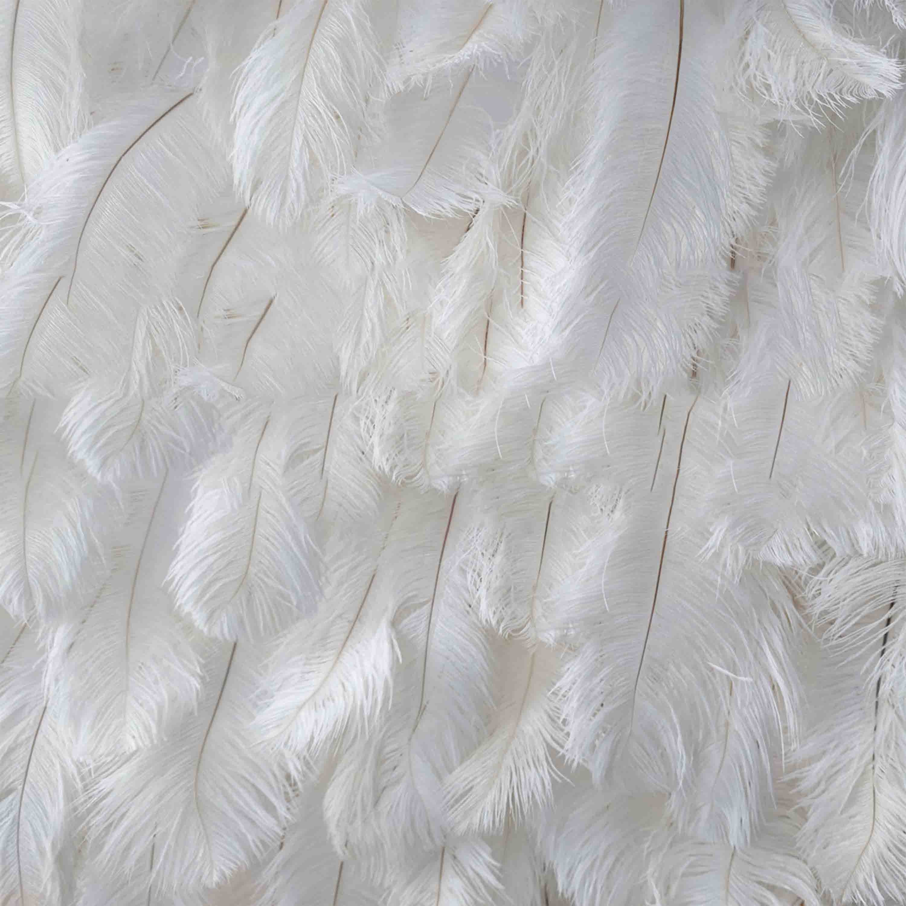 Curtain White Feather Wall Backdrop Roll up Fabric Wall Cloth Beautiful ...