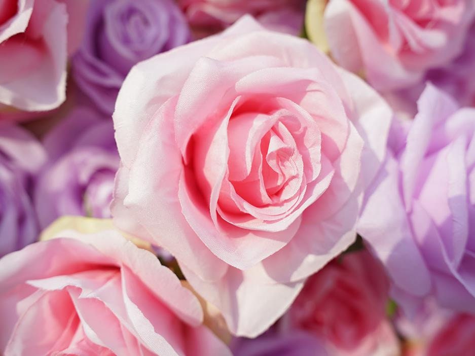 5D Fabric Cloth Curtain Flower Wall Custom Gradient Lavender - Etsy