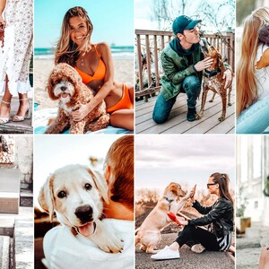 10 Pet and I Photoshop Actions and ACR Presets, Animal Ps Action ...