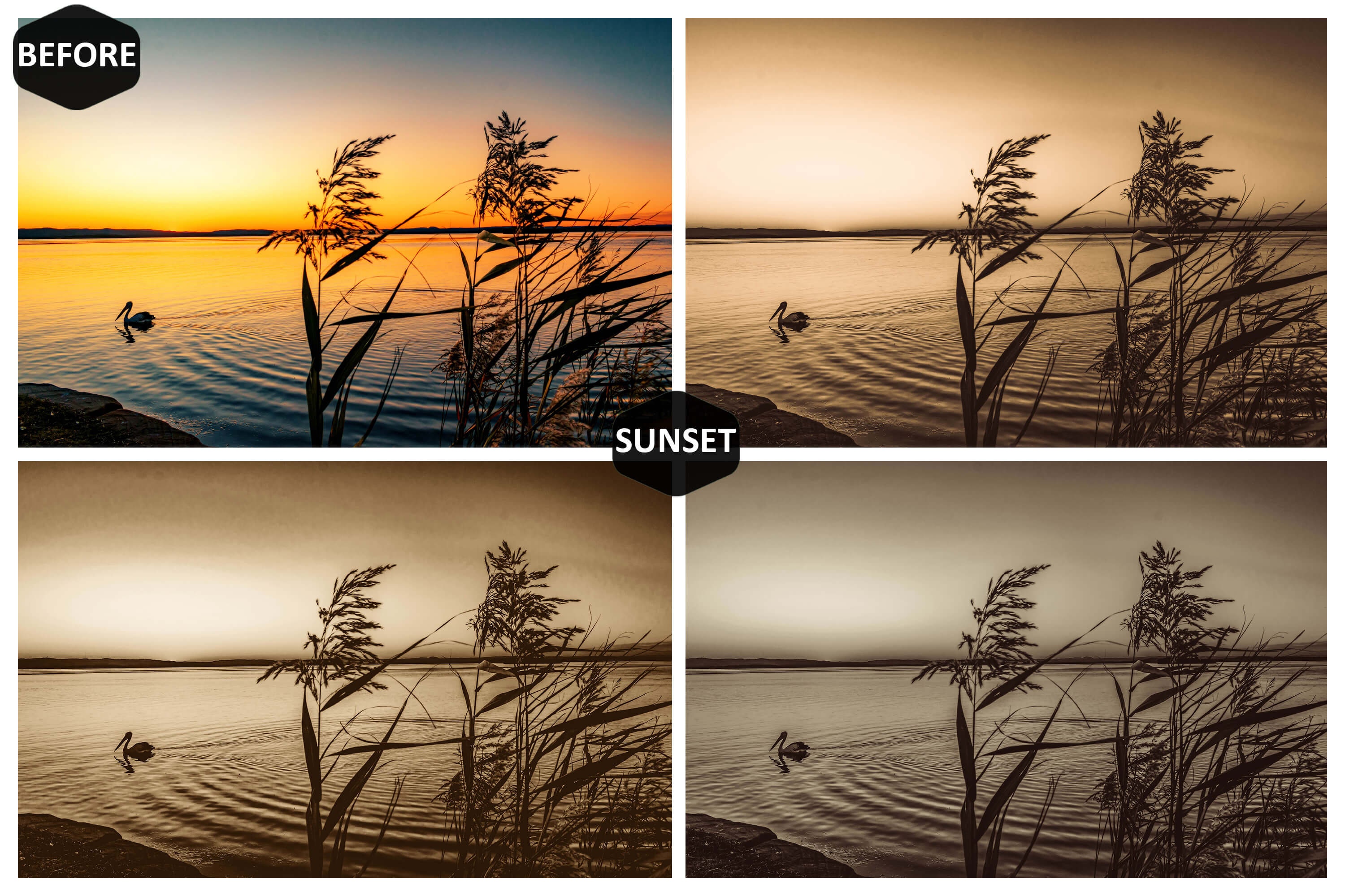 10 Sepia Effect Photoshop Actions And ACR Presets Vintage Ps | Etsy