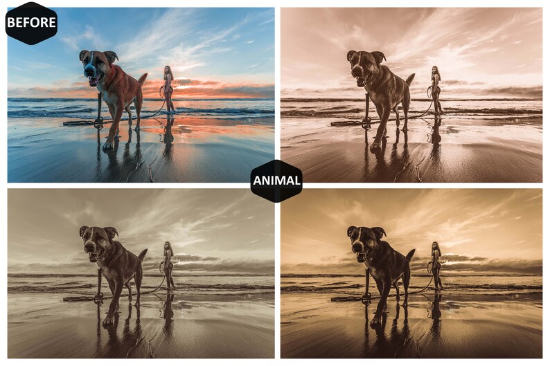 10 Sepia Effect Photoshop Actions and ACR Presets Vintage Ps - Etsy