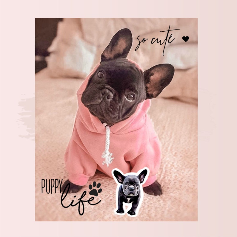 160 Sticker Bundle Instagram Story Sticker Pack Insta Story | Etsy