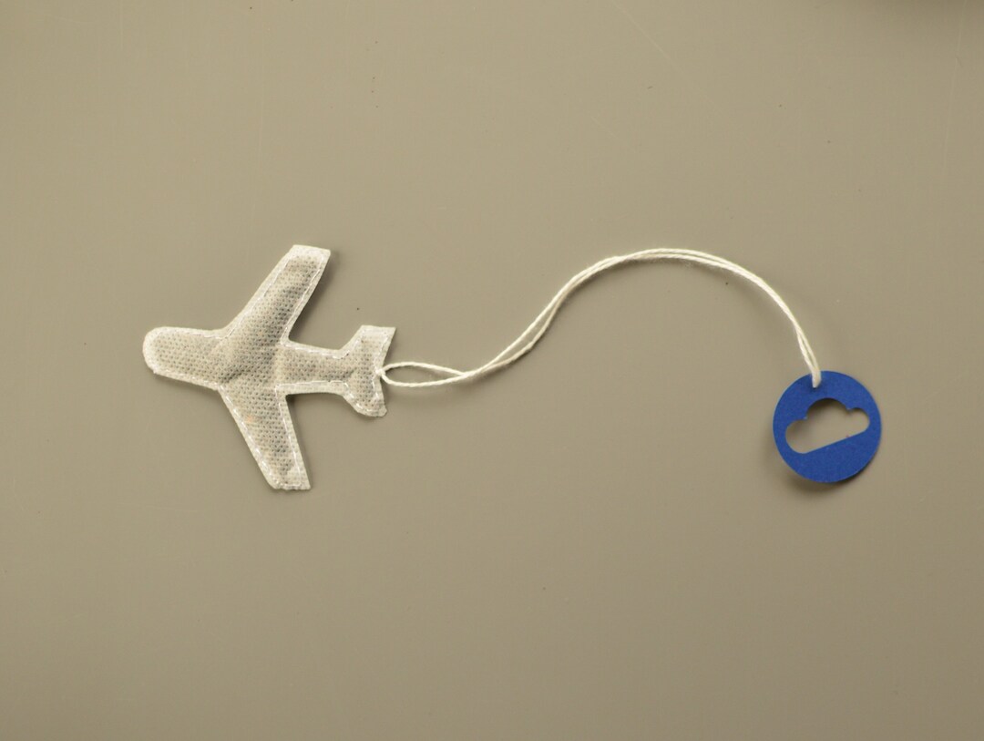 Airplane Tea Bags Shaped 5 Pieces Gift for Pilot Airplane Party ...