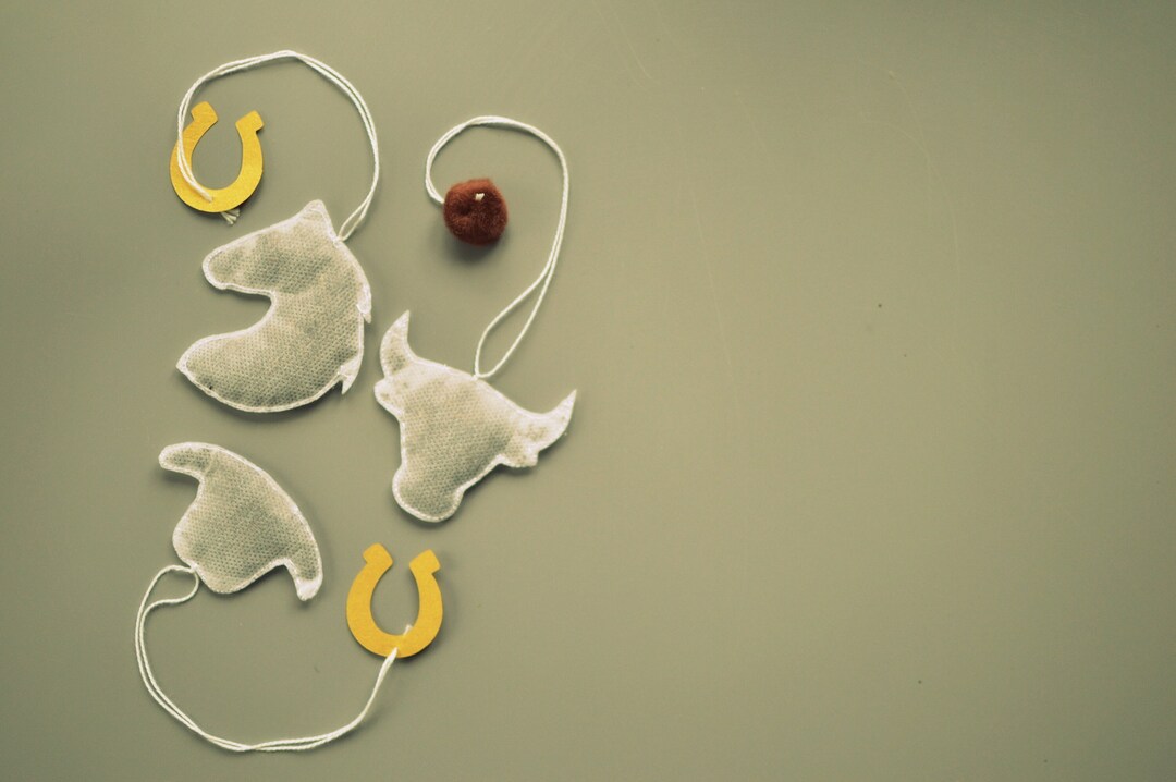 Cowboy Shaped Tea Bags – Set of 3 Cowboy Hat, Horse & Bull Western Tea ...
