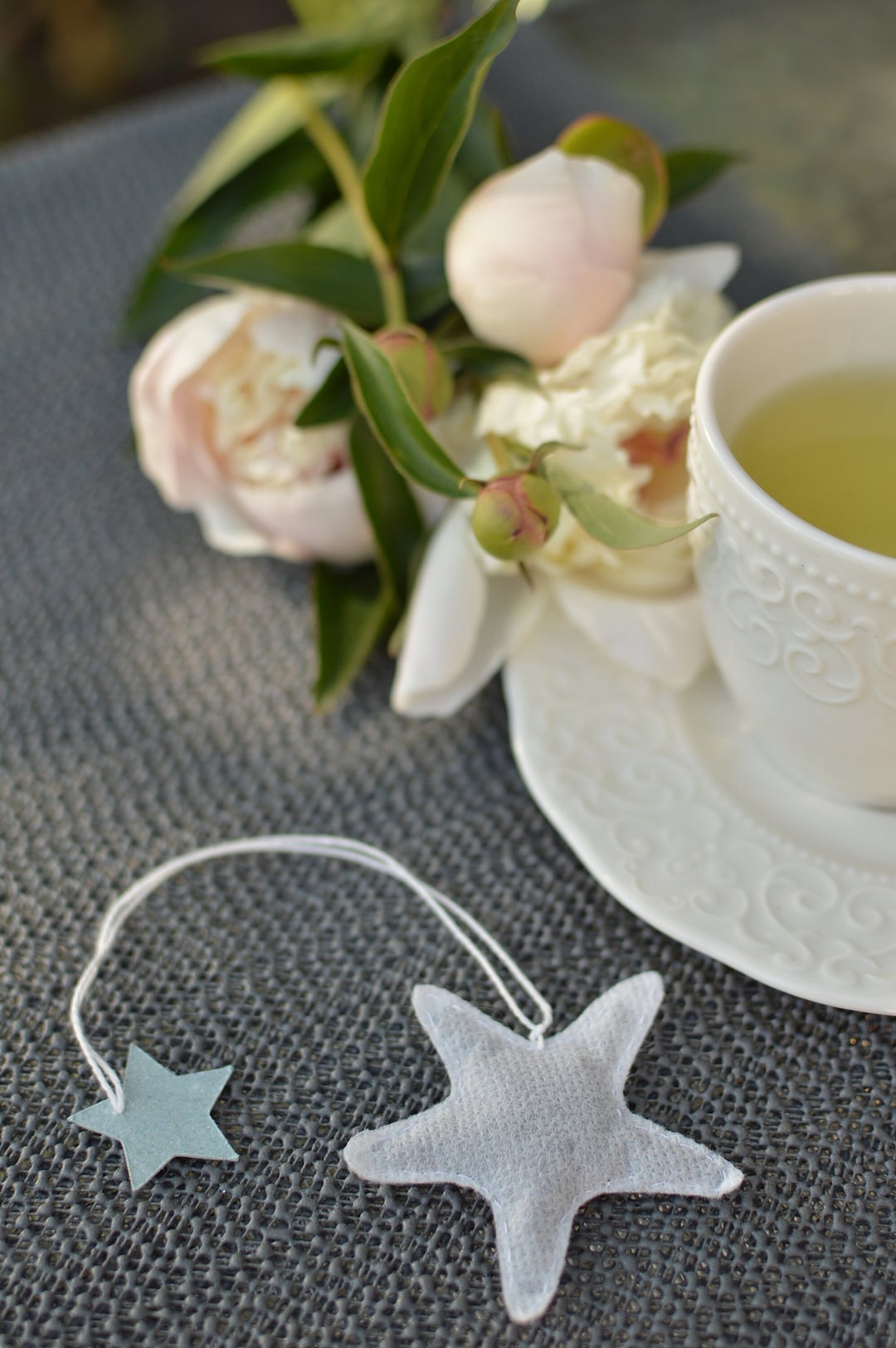 Star Shaped Tea Bags: Organic Tea Party Favors, Set of 5 - Etsy
