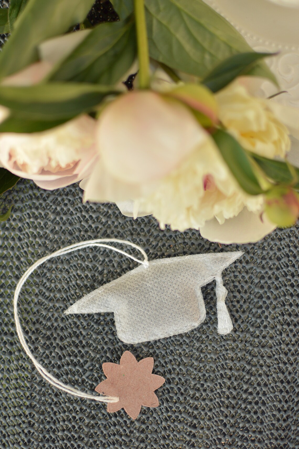 Graduate Hat Shaped Tea Bag Graduate Gift 5 Peaces Graduation - Etsy UK