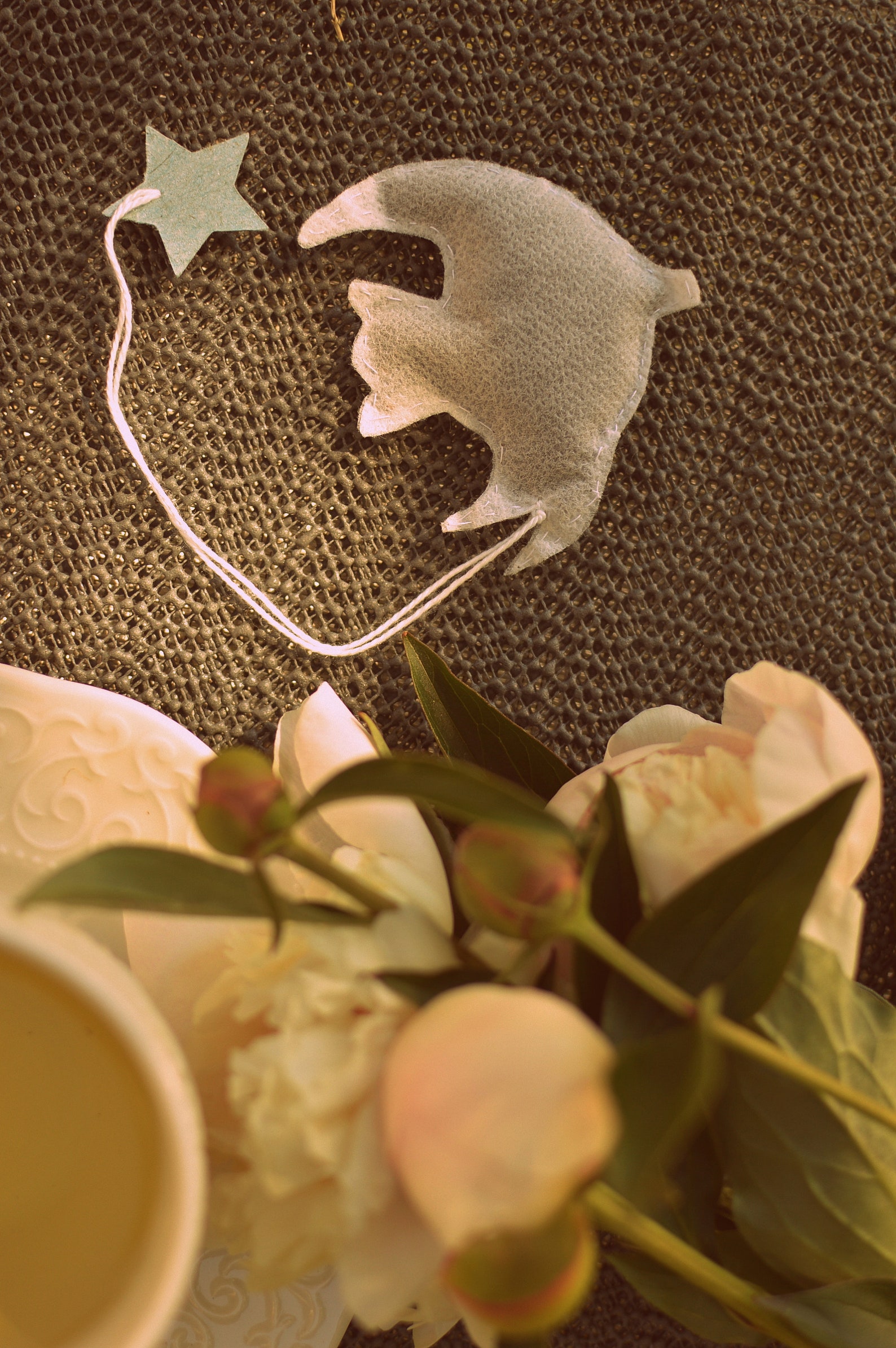 Goldfish Tea Bags 5 Peaces Wedding Favors Tea Bag Shape Fish - Etsy