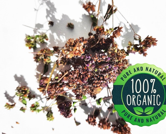 Oregano Tea Origanum Vulgare Organic Dried Herbal Tea Premium | Etsy