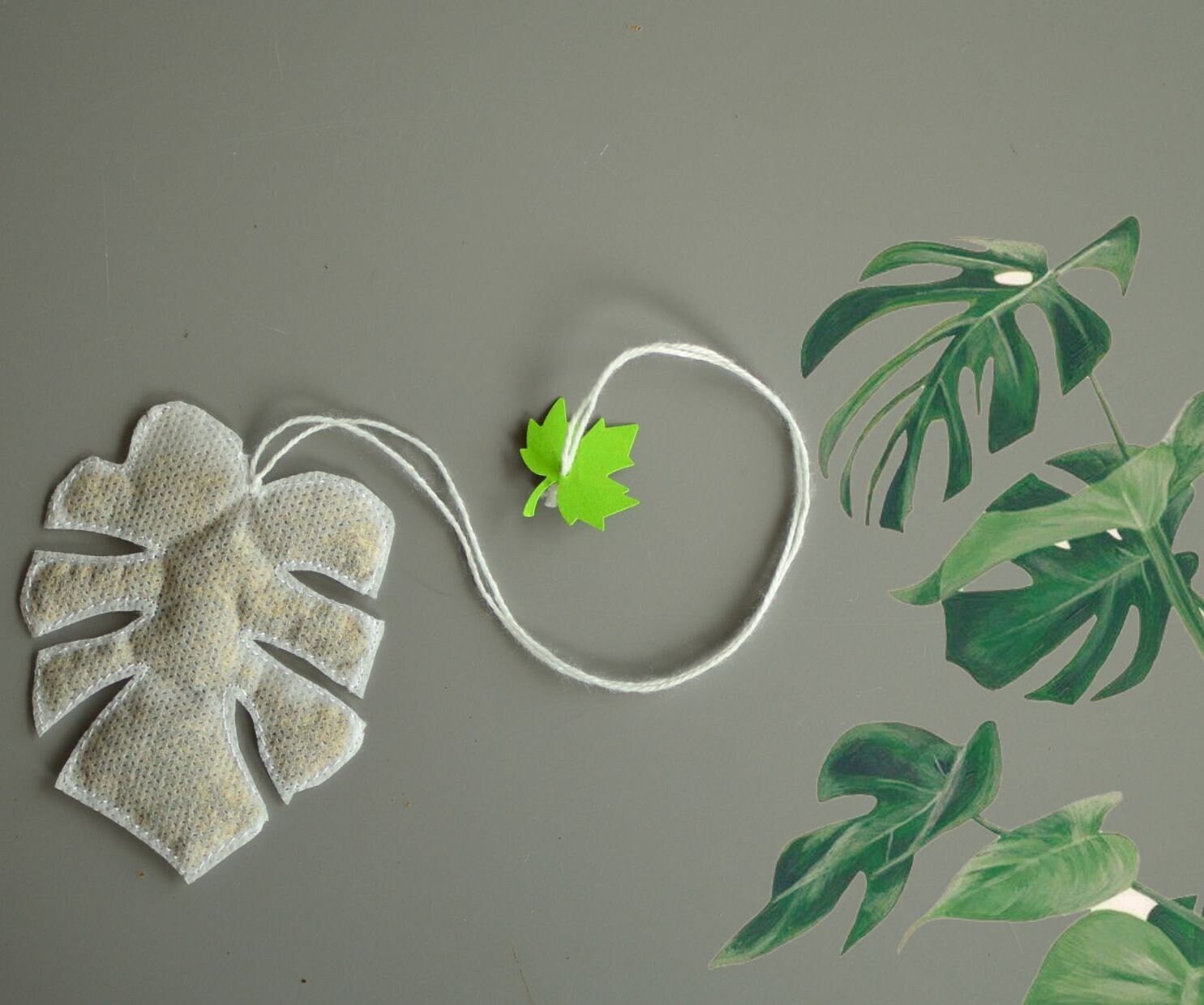 Monstera Shaped Tea Bags 5 Pieces Monstera Leaf Shaped Tea Bags Unique ...