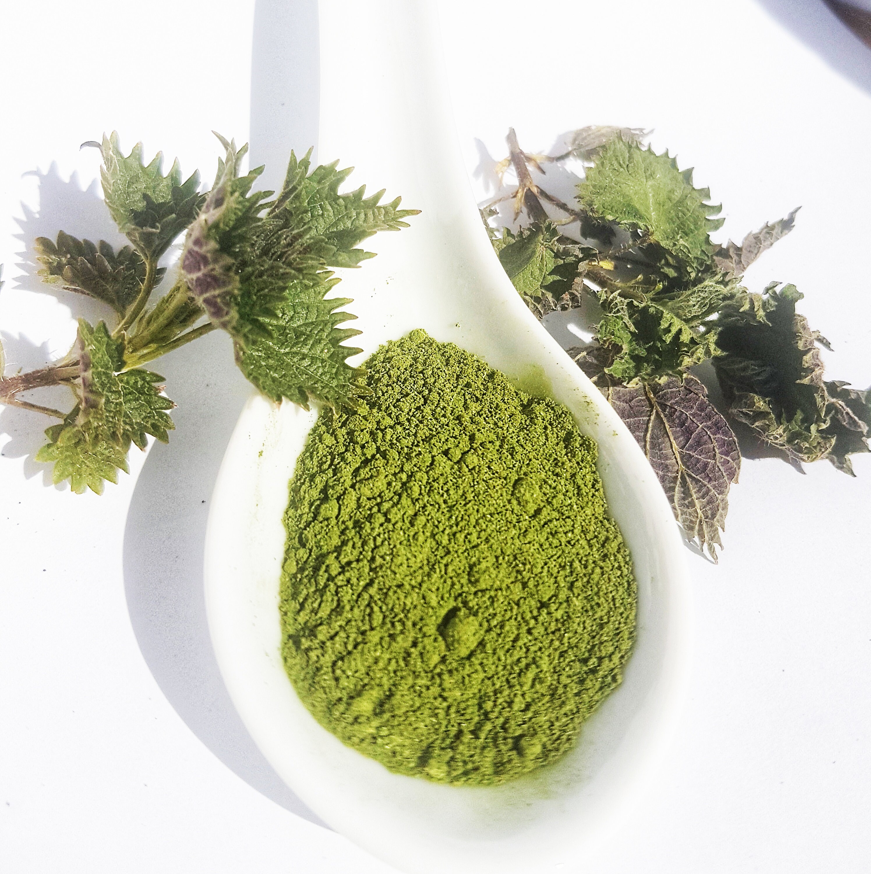 Nettle Leaf Powder Nettle Powder Nettle Leaf Powder Organic - Etsy