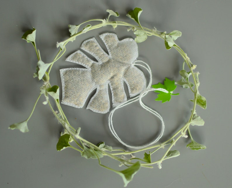 Monstera Shaped Tea Bags 5 Pieces Monstera Leaf Shaped Tea Bags Unique ...