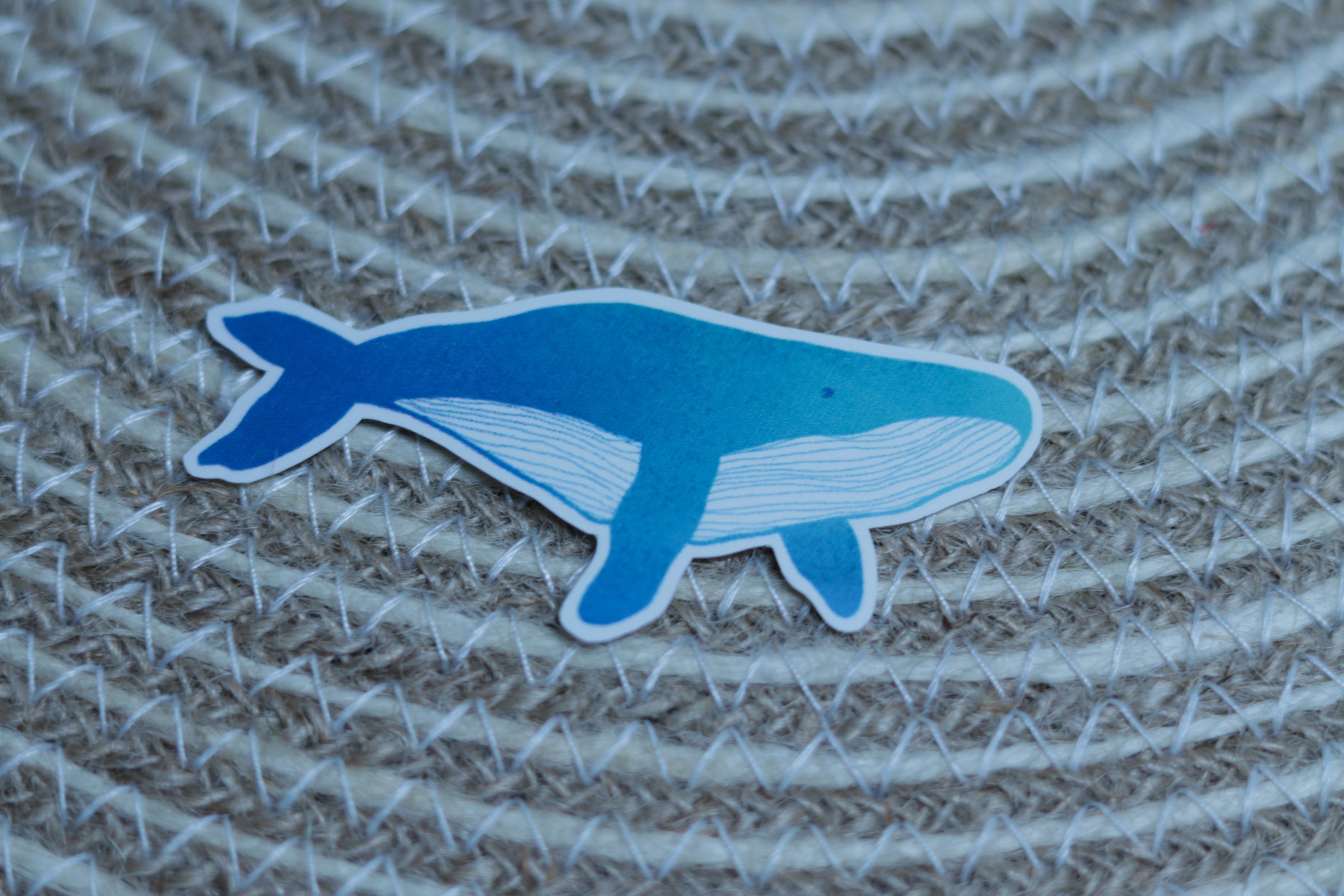 Whale Stickers Bullet Journal Stickers, Laptop Stickers, Scrapbooking ...