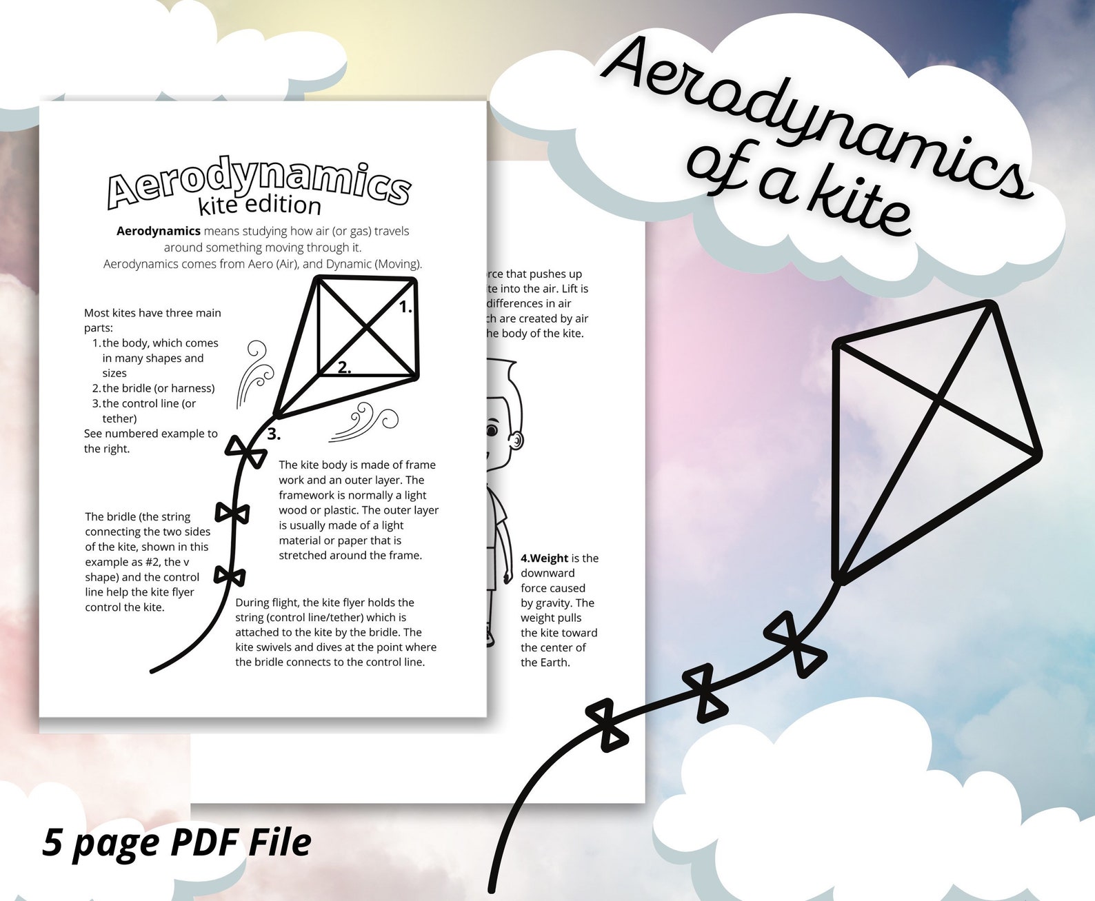 Homeschool Activity, the Aerodynamics of a Kite, 5 Page PDF File ...
