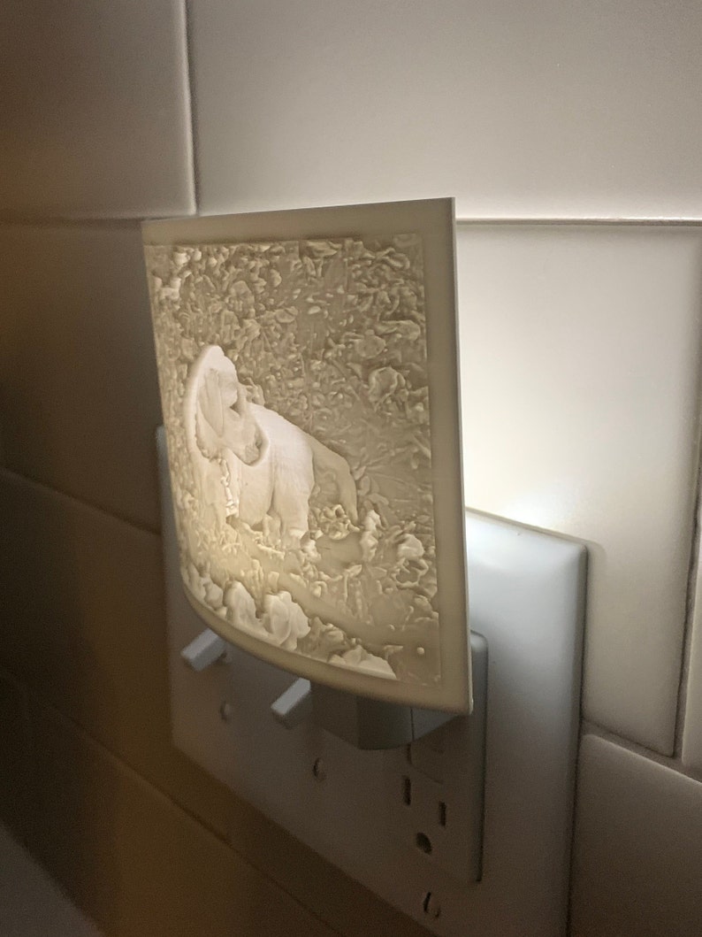 Custom Night-light 3D Embossed Picture lithophane - Etsy
