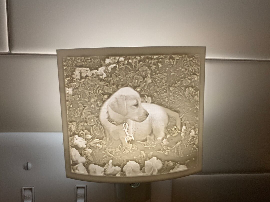 Custom Night-light - 3D Embossed Picture (lithophane) - Etsy