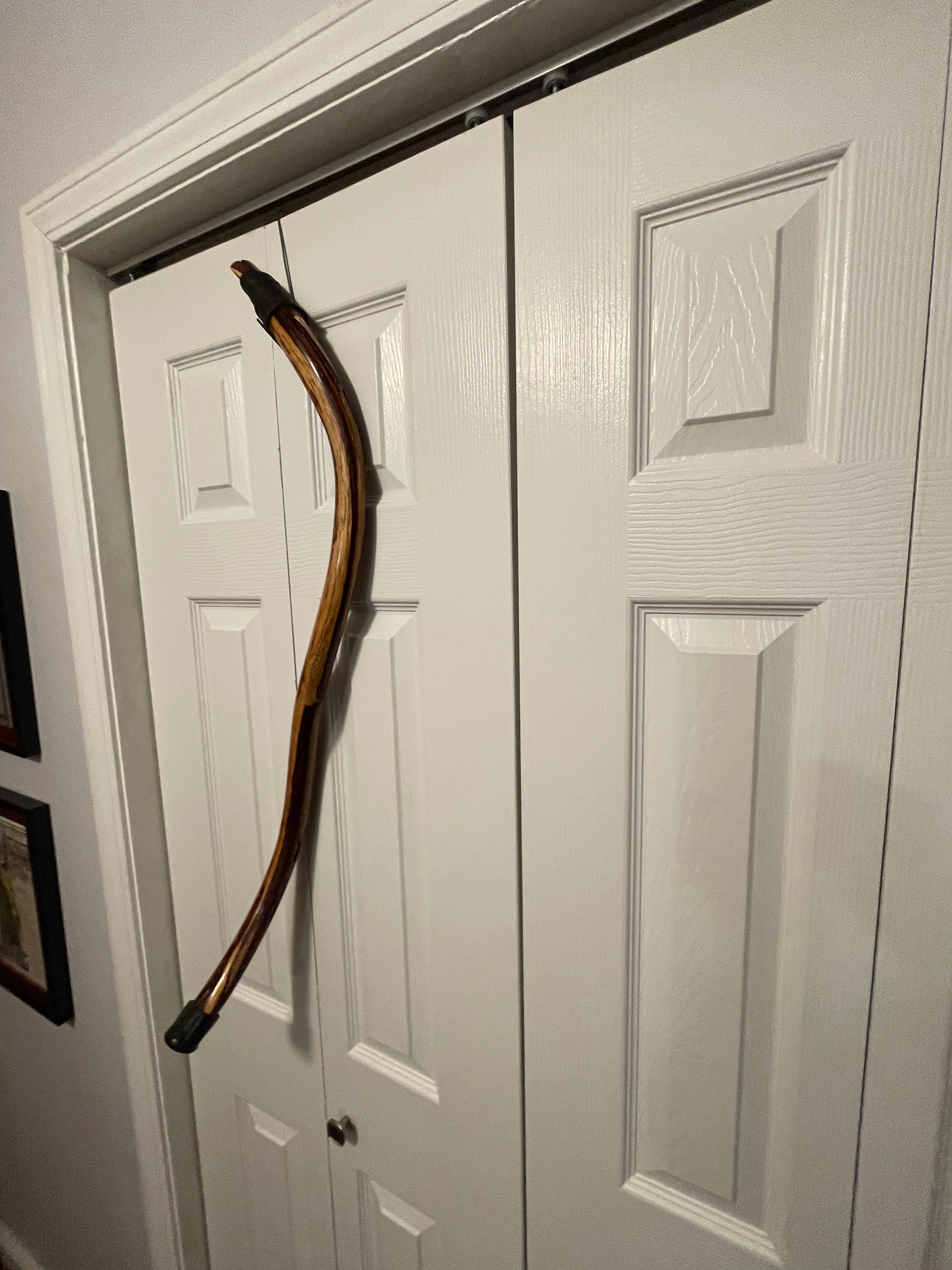 Desert Ironwood Tree Walking Cane - Etsy