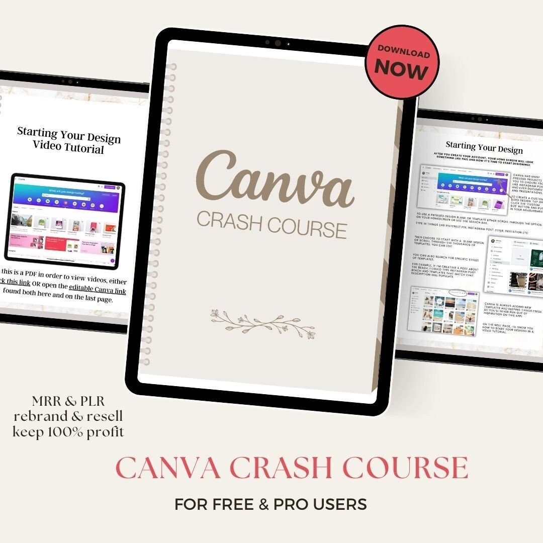 Canva Crash Course, Done for You Course, Canva Ebook, Canva Guide, DFY ...