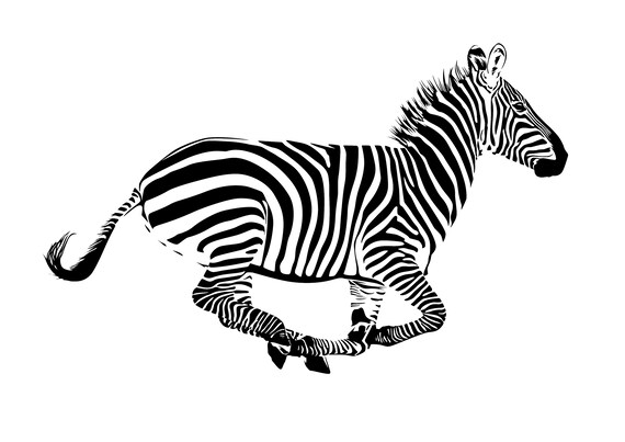 Illustration of a running zebra Zebra vector graphics | Etsy