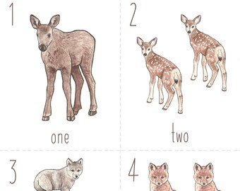 MERMAID Numbers Flashcards for Learning Mathematics With Mermaid Design ...