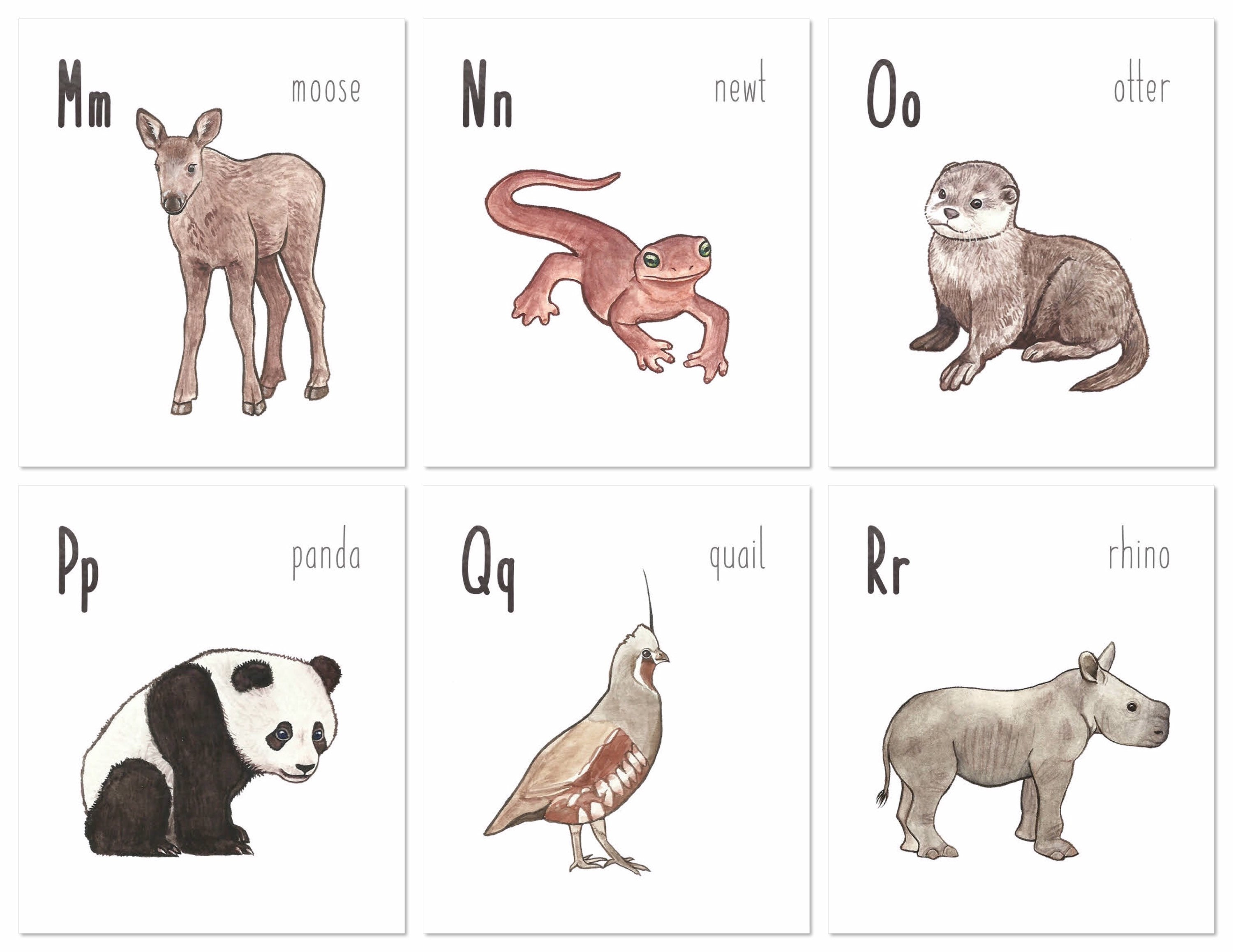 Animal Alphabet Flashcards - Etsy