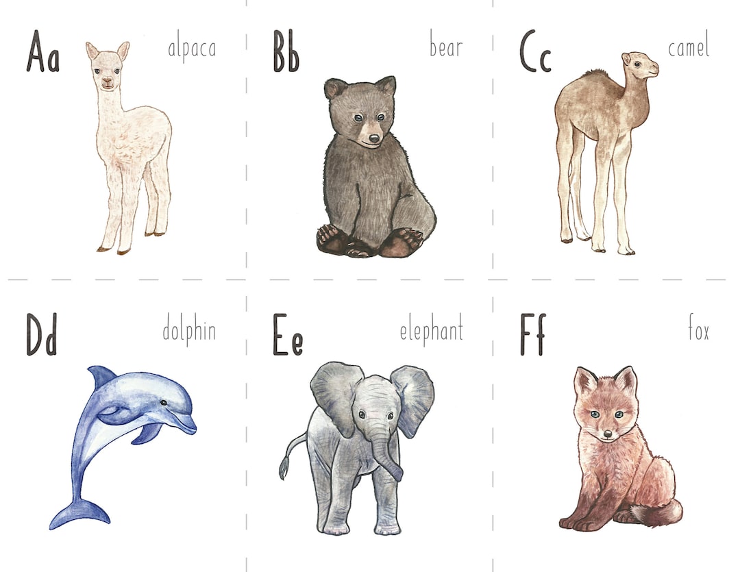 Digital Animal Alphabet Flashcards - Etsy