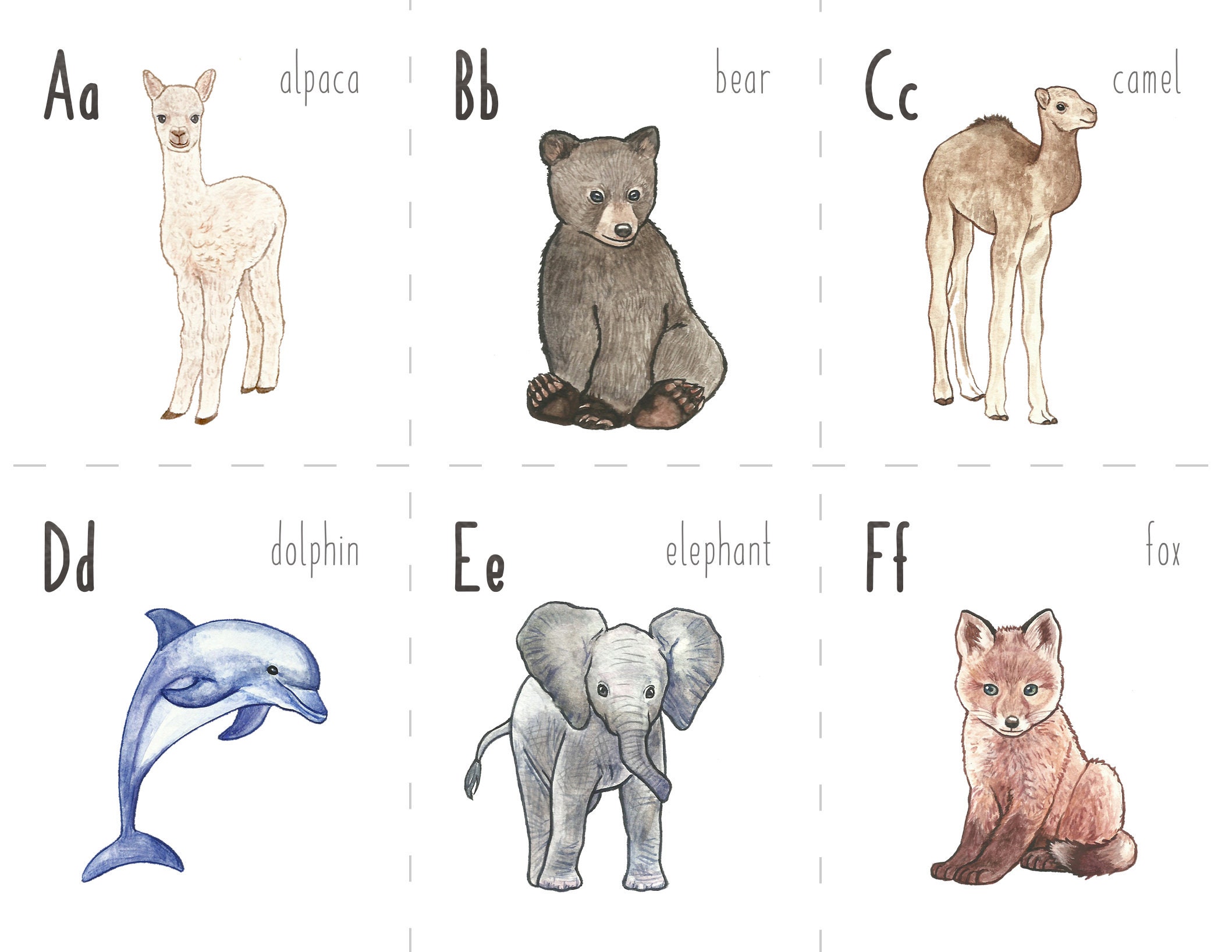 Digital Animal Alphabet Flashcards - Etsy