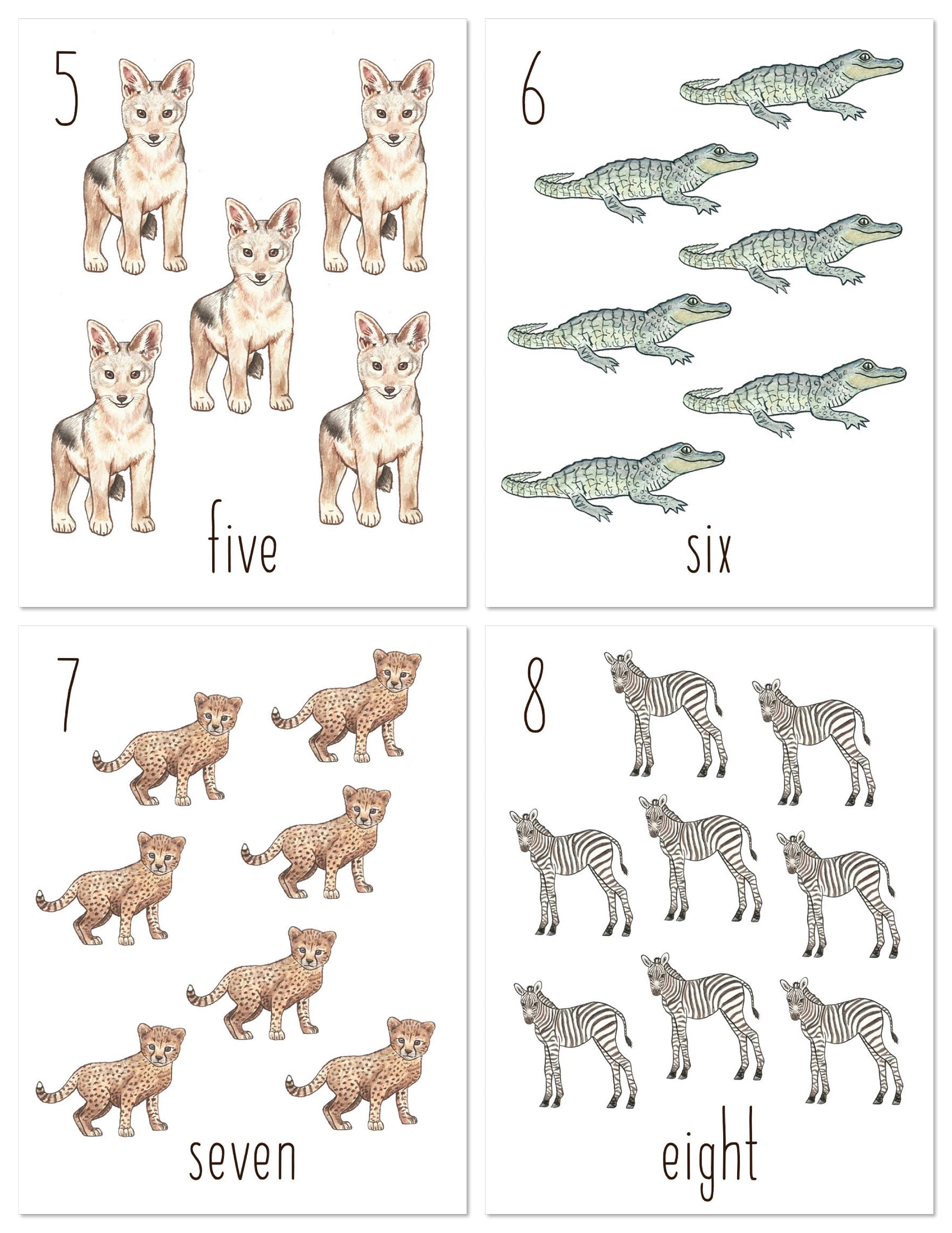 Safari Flashcards - Etsy