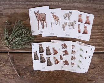 VEGETABLES Flashcard Food Group Montessori Flashcards - Etsy