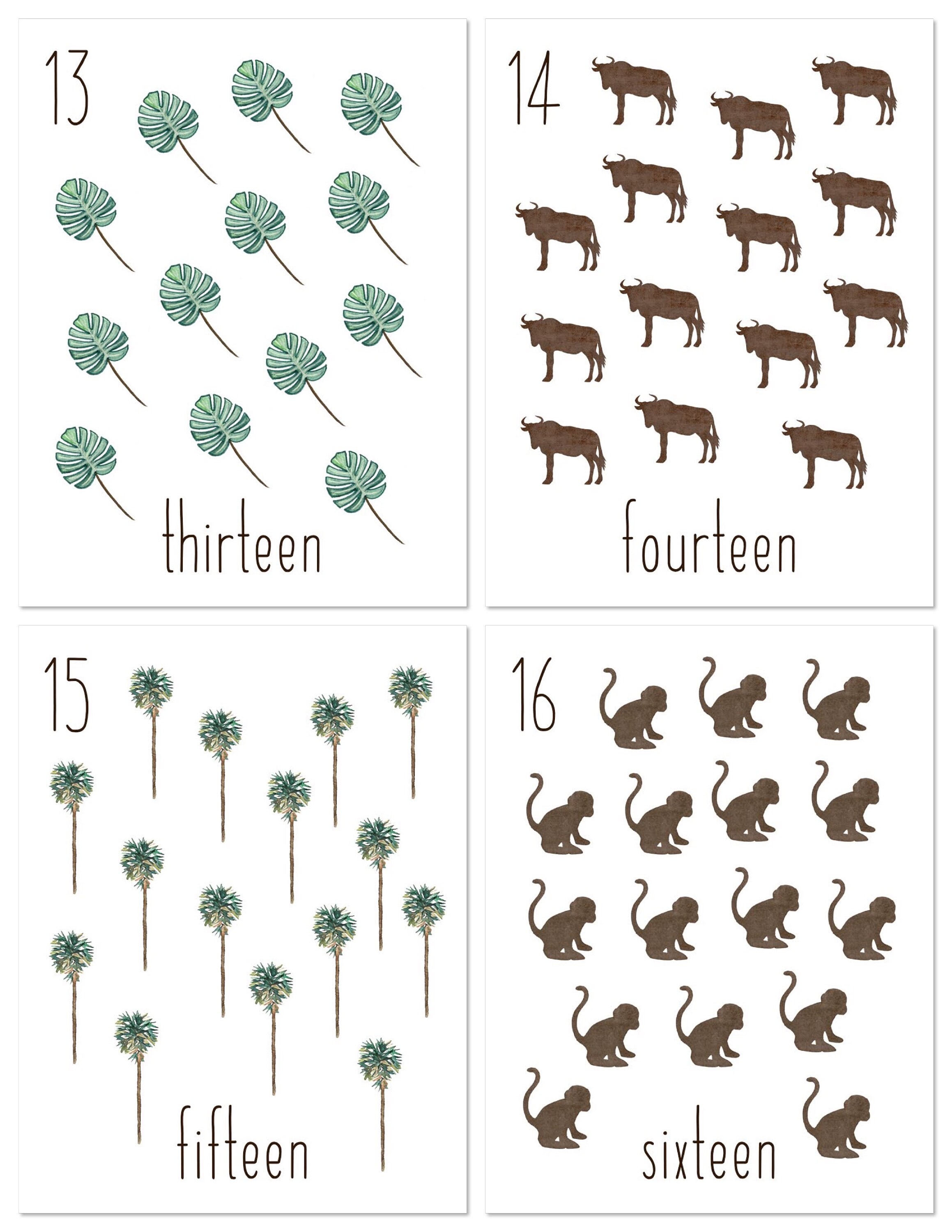 Safari Flashcards - Etsy