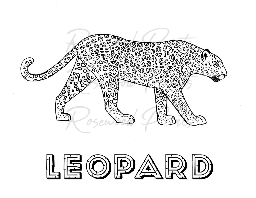 Leopard Coloring Page - Etsy