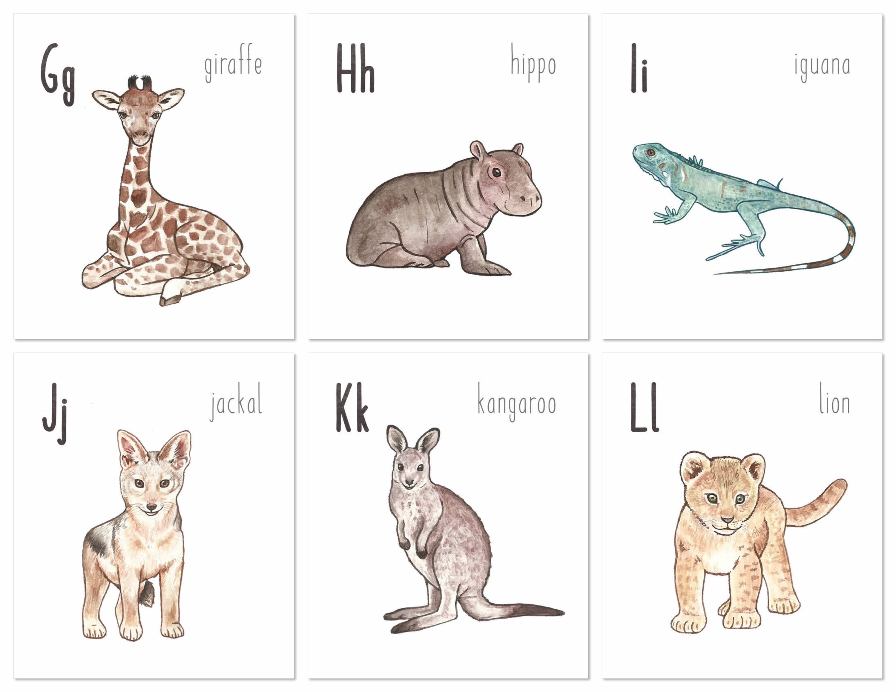 Animal Alphabet Flashcards - Etsy