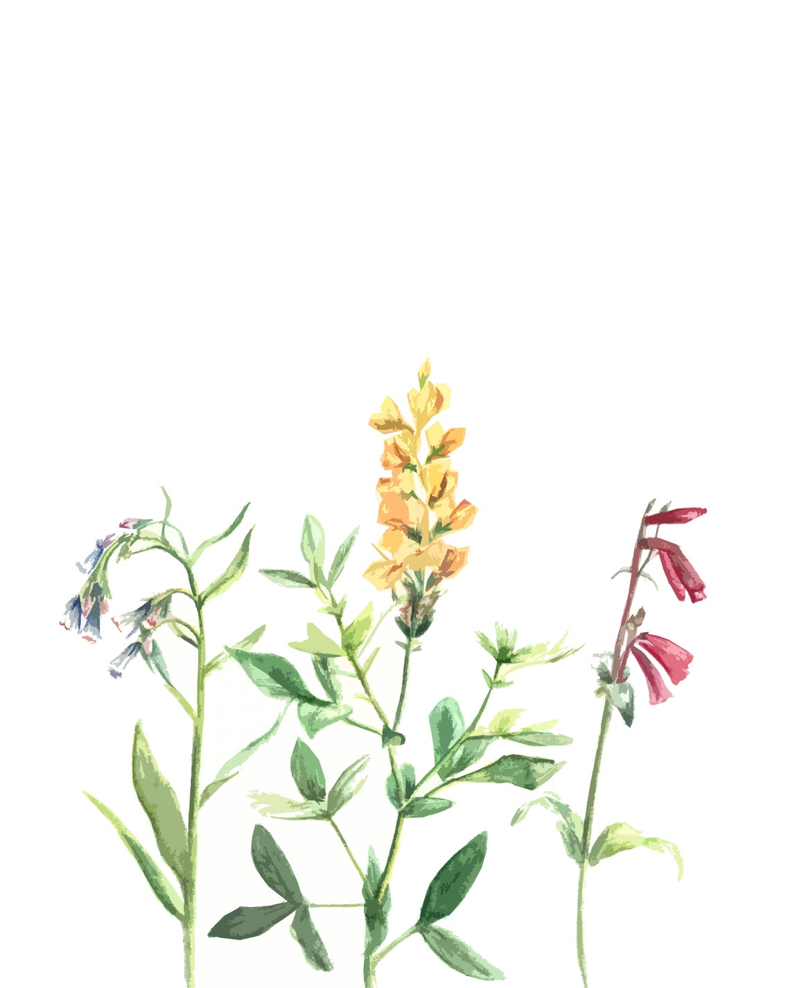 Utah Wildflower Print Set - Etsy