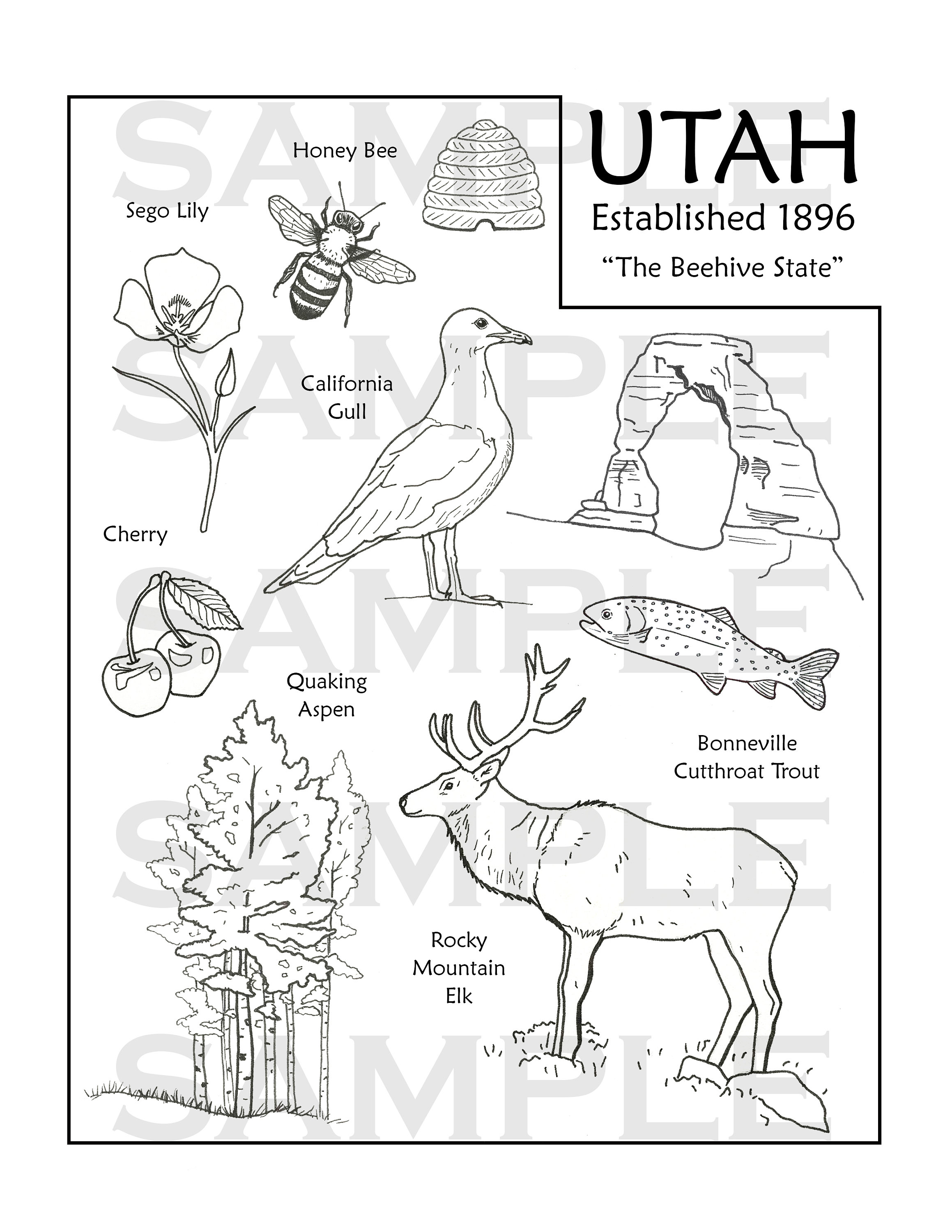 Utah State Animal Coloring Page Utah's State Symbols Flipbook By