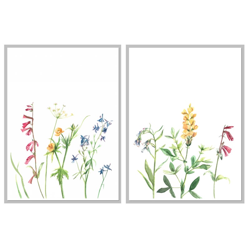 Utah Wildflower Print Set - Etsy