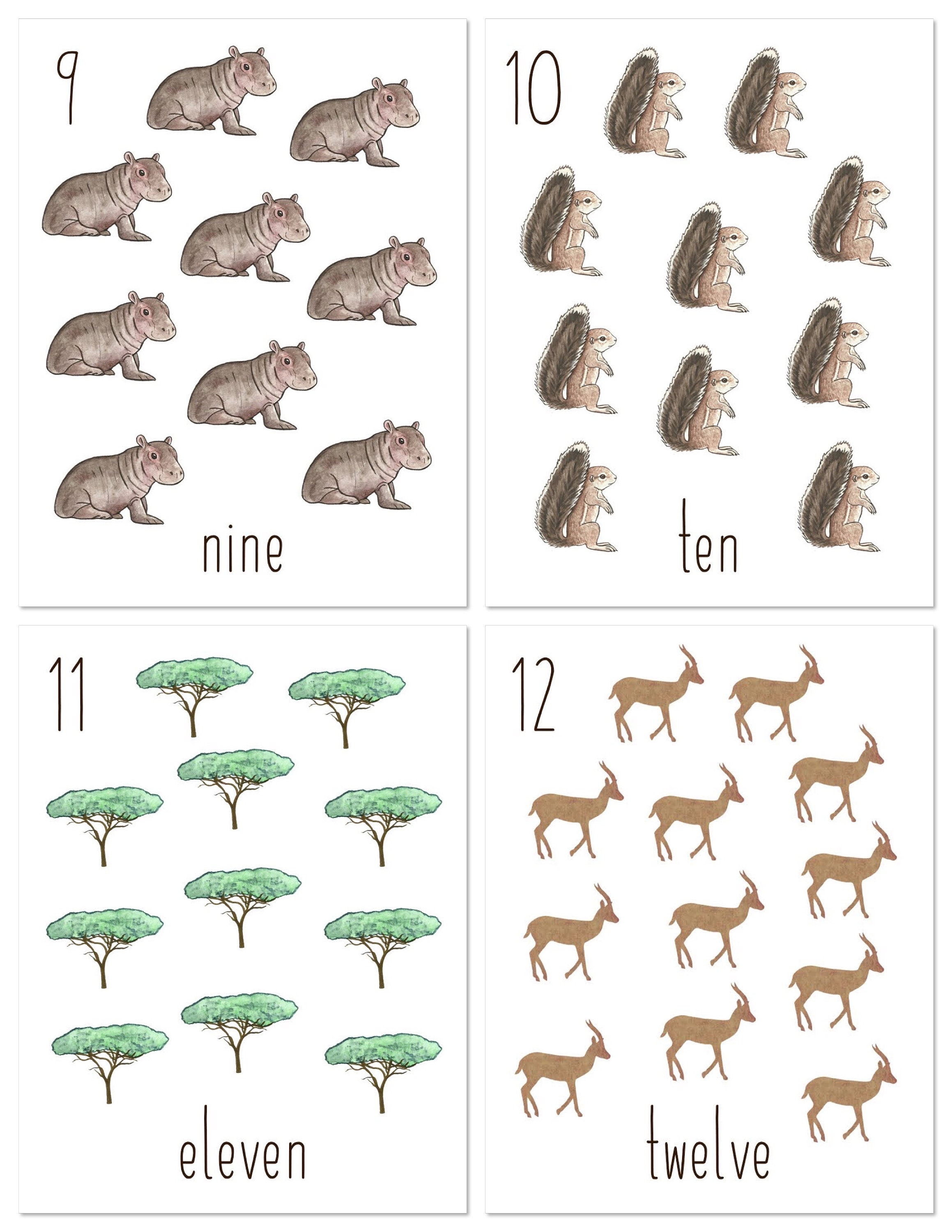 Safari Flashcards - Etsy