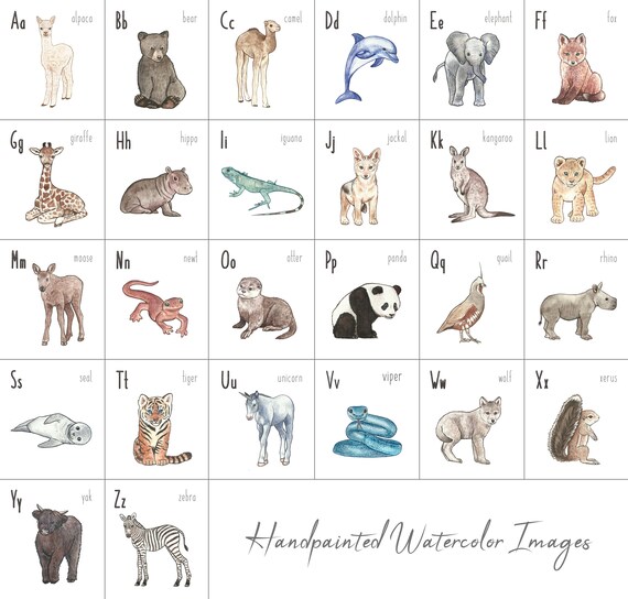 Animal Alphabet Flashcards | Etsy