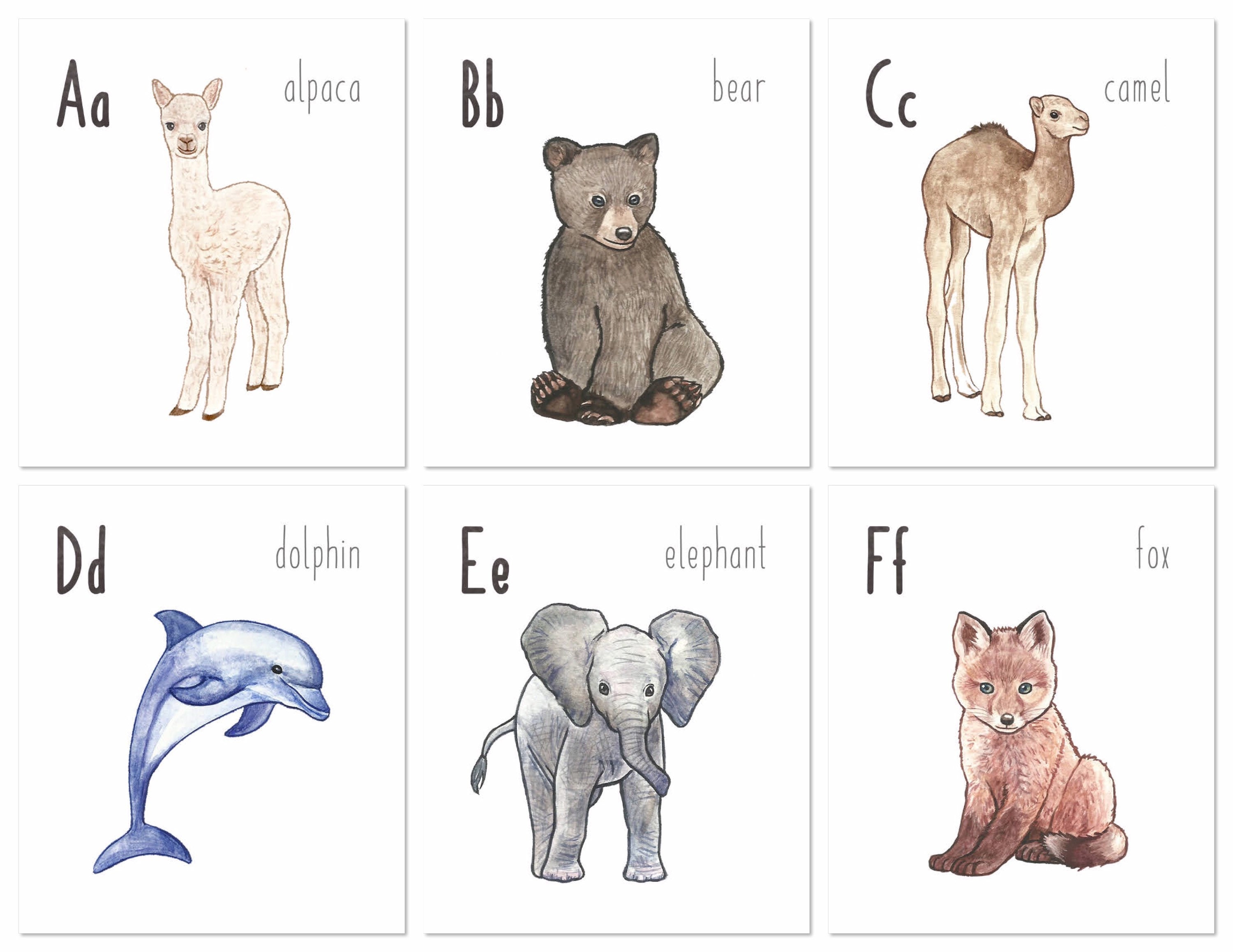 Animal Alphabet Flashcards - Etsy