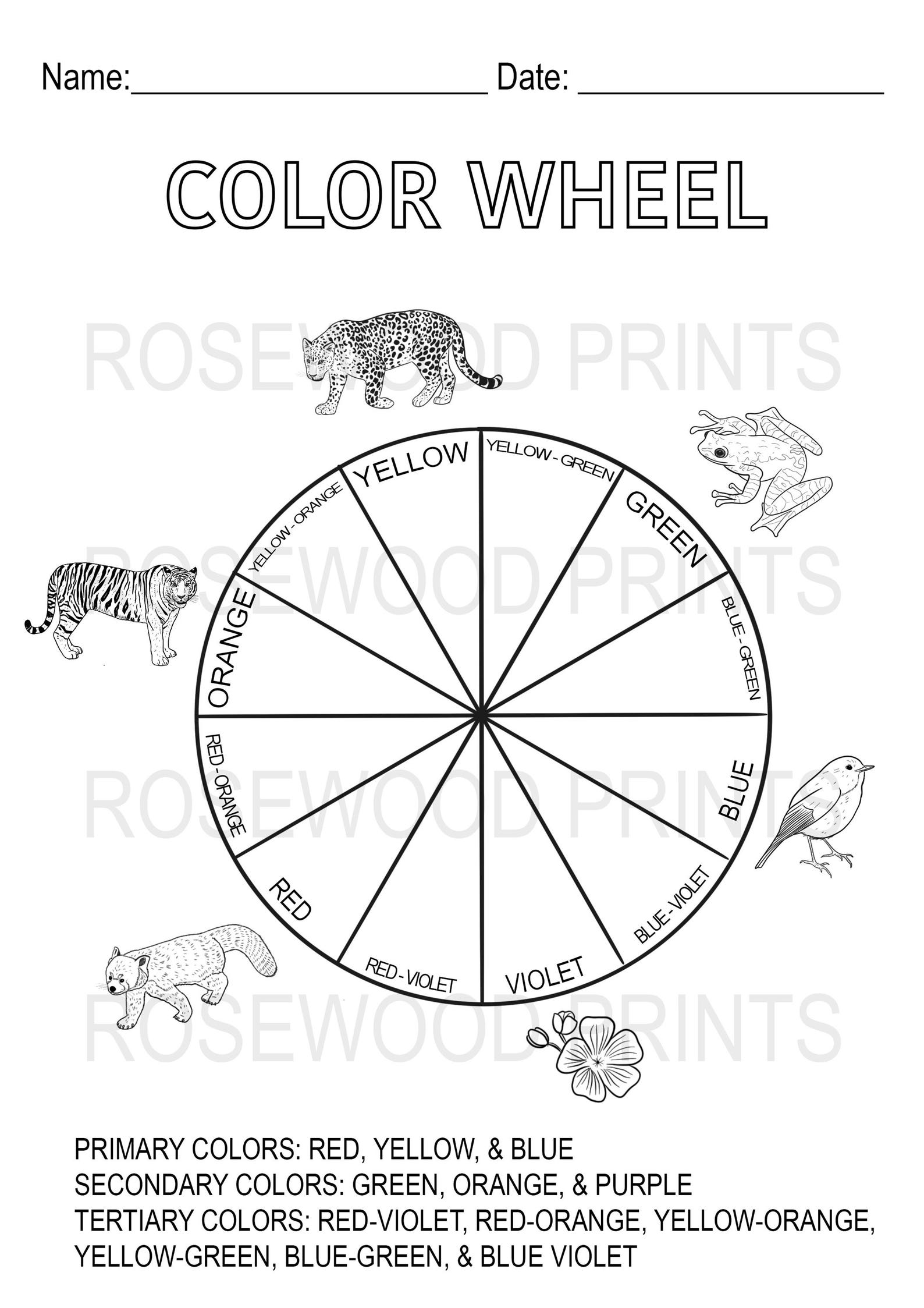 Color Wheel - Etsy