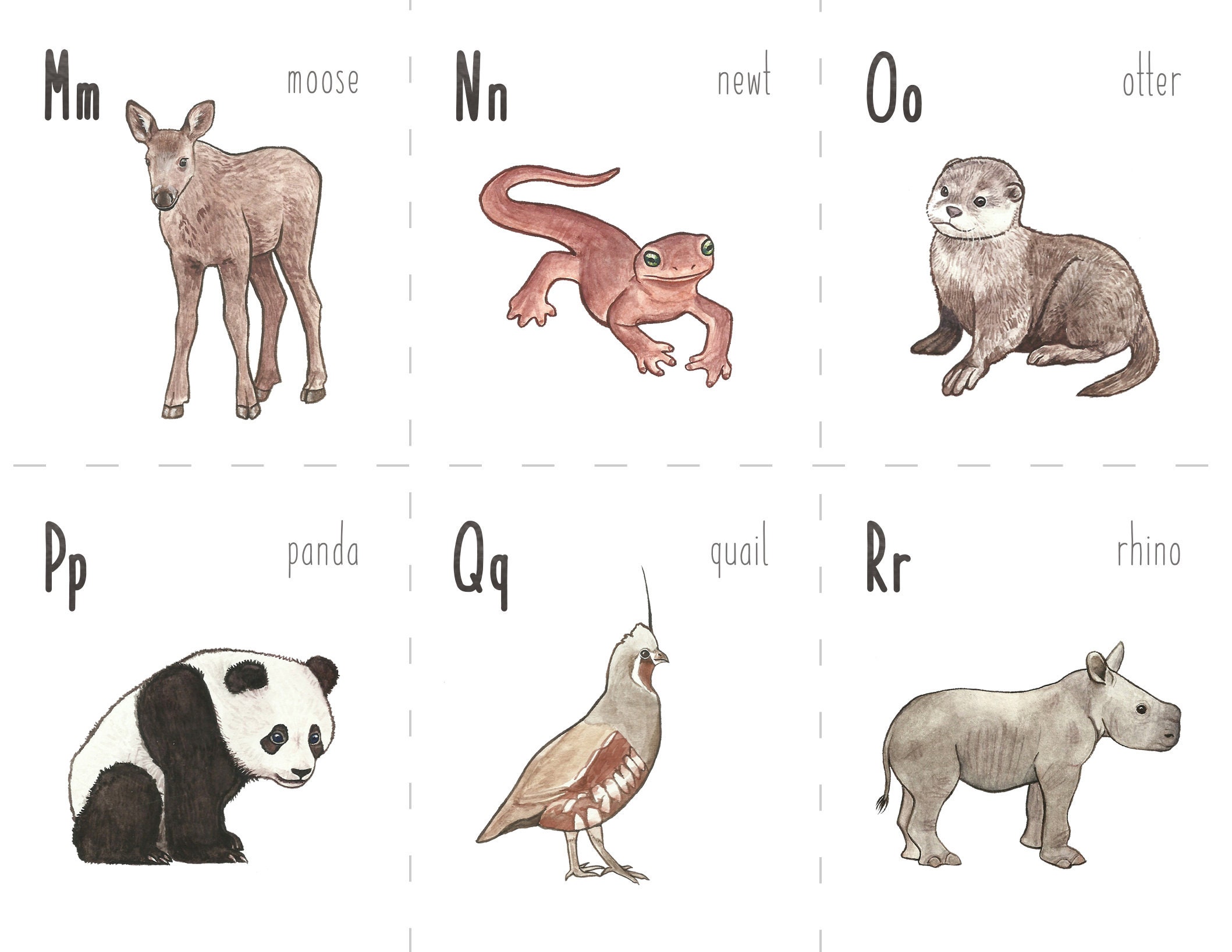 Digital Animal Alphabet Flashcards - Etsy